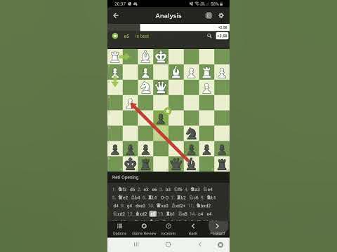 I Beat the New Filip Bot in 20 moves - Chess.com - YouTube