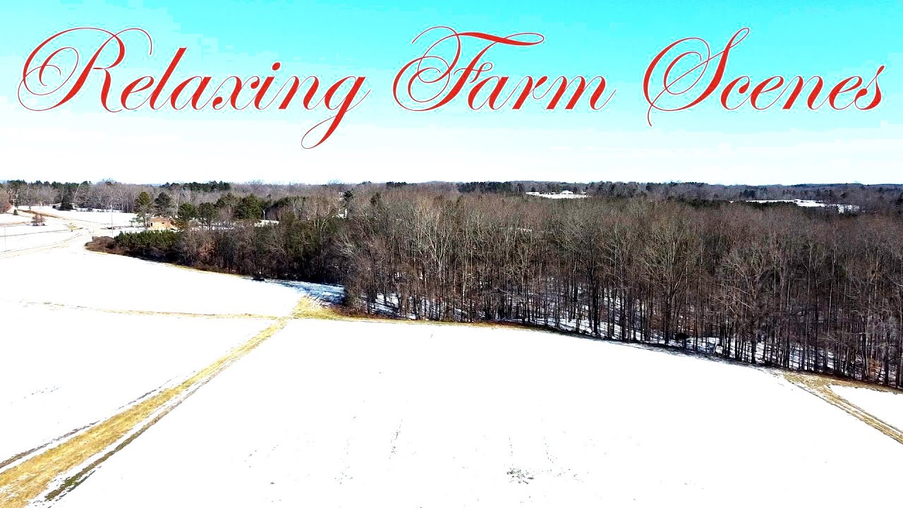 Relaxing Farm Scenes set to Classical music (time lapse and drone ...