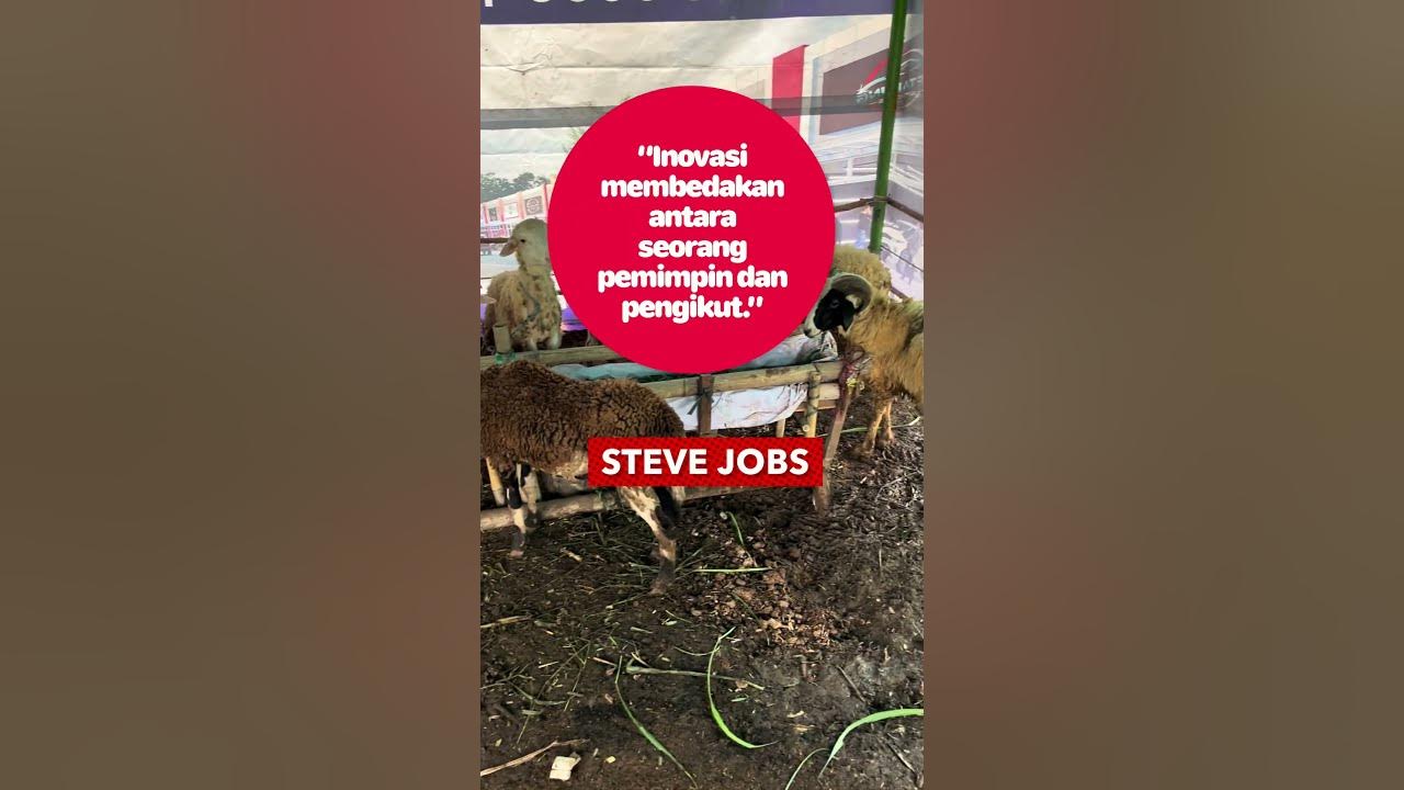 Quote Tokoh Bisnis Dunia - Steve Jobs #4 - YouTube