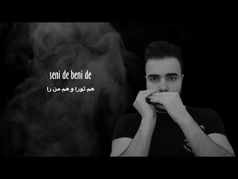 Sezen aksu - belalim (harmonica cover)