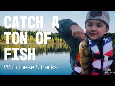 We caught A TON of fish with these 5 Hacks - YouTube