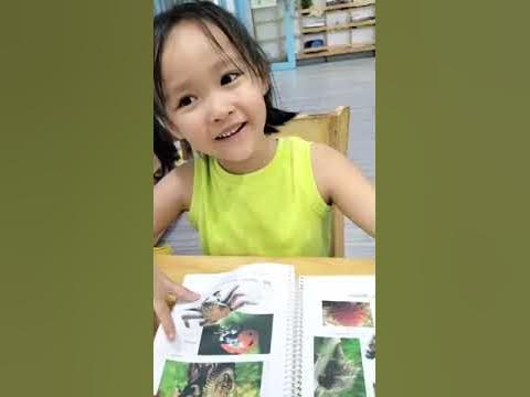 Tiếng Anh Giao Tiếp Tại Phan Thiết: Miki Reading a book called Animals ...