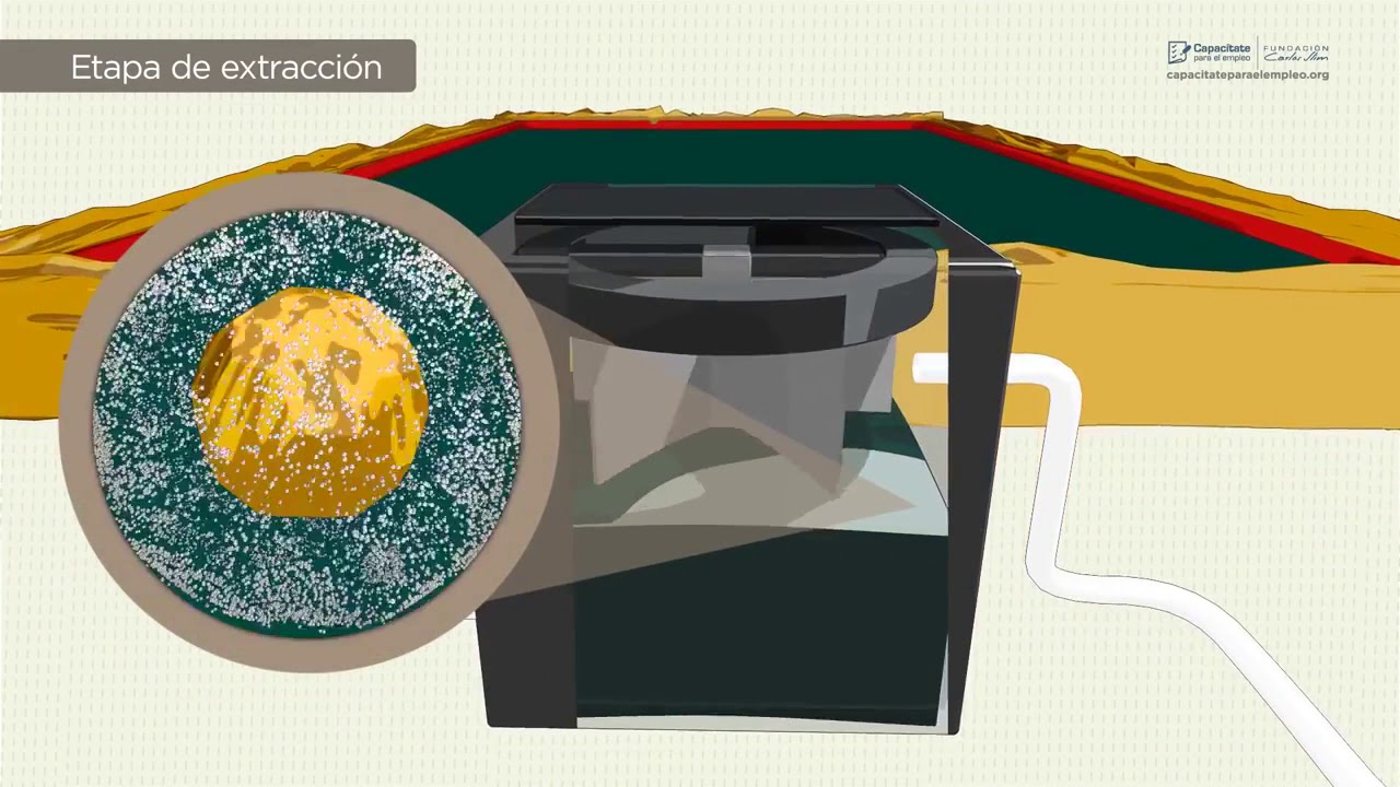 Extracción por Solventes - Nivel 3. Lección 5.3 - YouTube