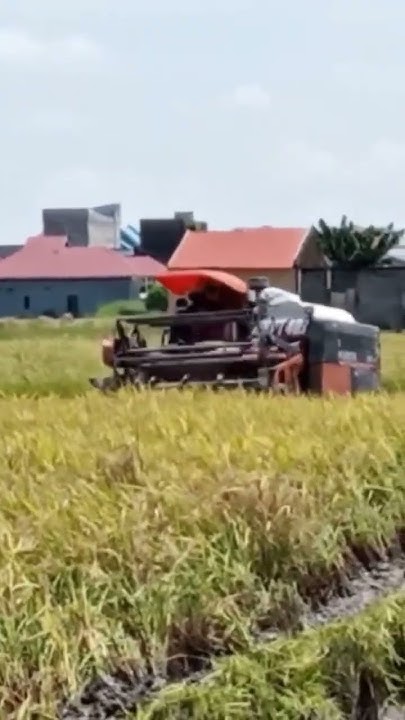 Mesin Canggih Panen Jalan Terus Wow Wow 100 #shorts - YouTube