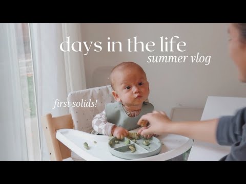 Sommertage im Leben: Wocheneinkauf, Zeke bekommt Beikost, leckere Rezepte & mehr!