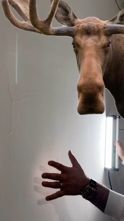 Немного про Лосева, лампу Лосева - YouTube