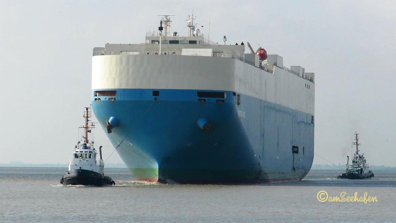 car carrier TRITON ACE 3FFC7 IMO 9519121 roro cargo seaship inbound ...