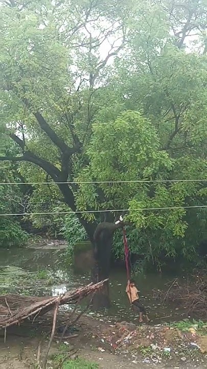 ladies and gentlemen welcome to mere gaon ka Mausam - YouTube