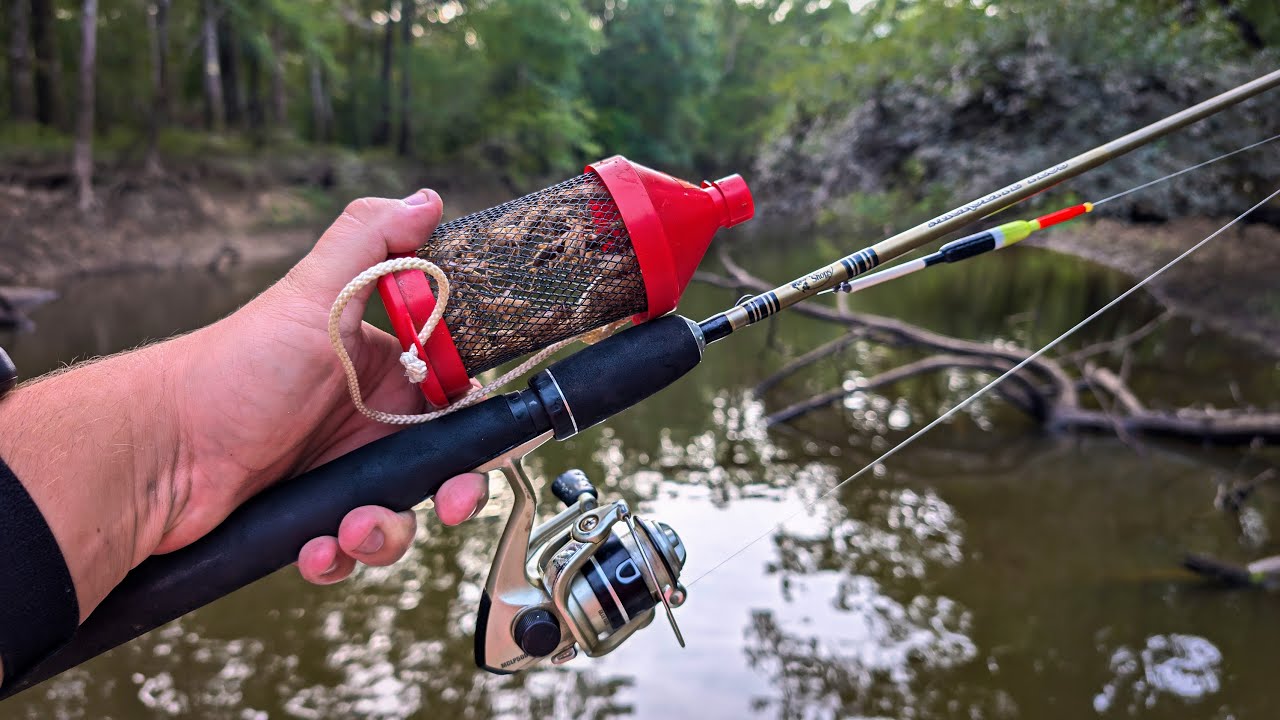 Late summer bream fishing with crickets - YouTube