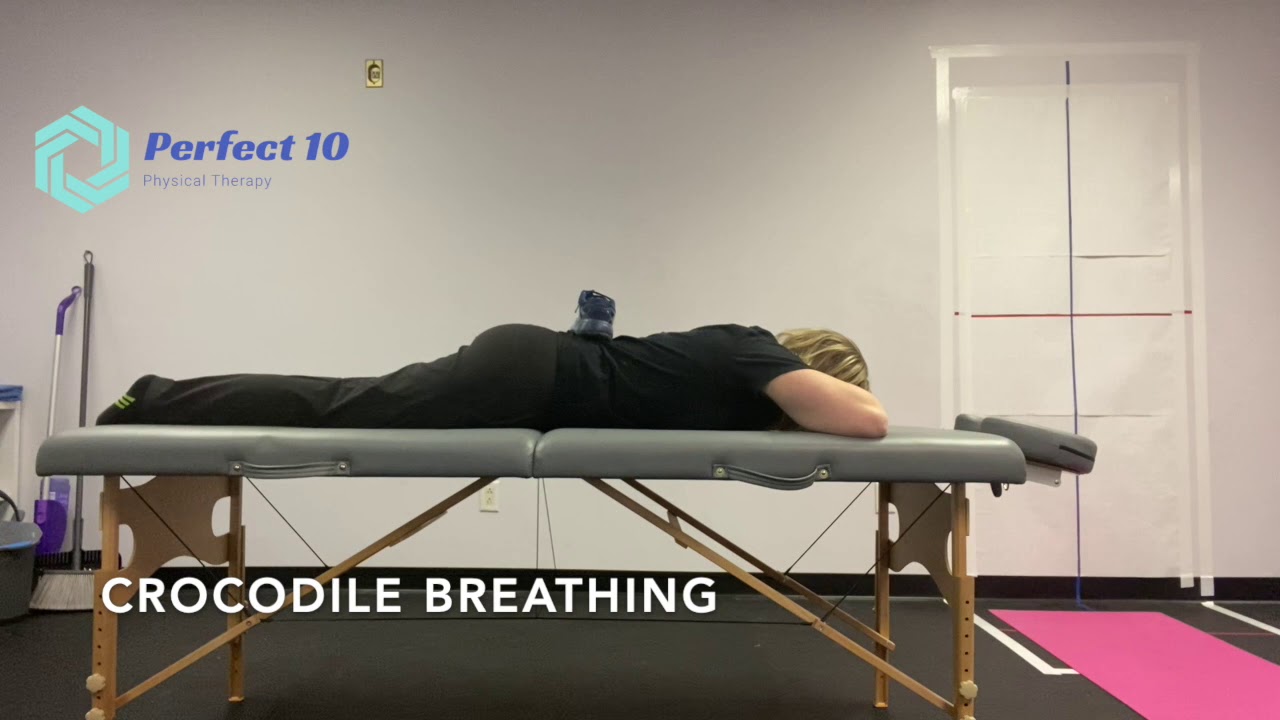 Crocodile breathing - YouTube