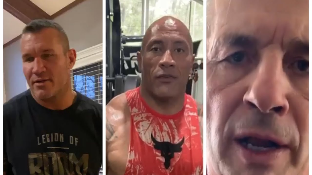 WWE Dwayne Johnson The Rock Bret Hart And Randy Orton on IGTV Like ...