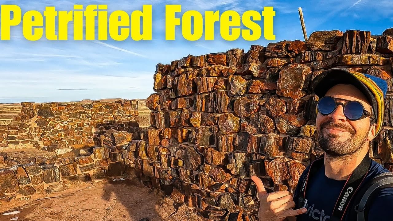 Day Trip Adventure Onyx Bridge, Blue Mesa and Agate House | Petrified ...
