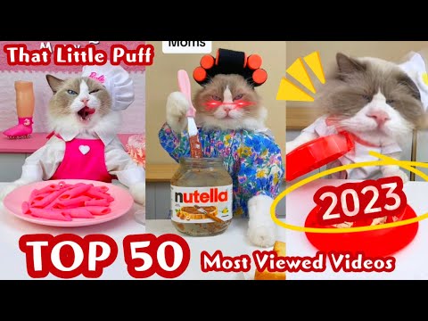 Top 50 Most Viewed Videos 2023🎉 | That Little Puff