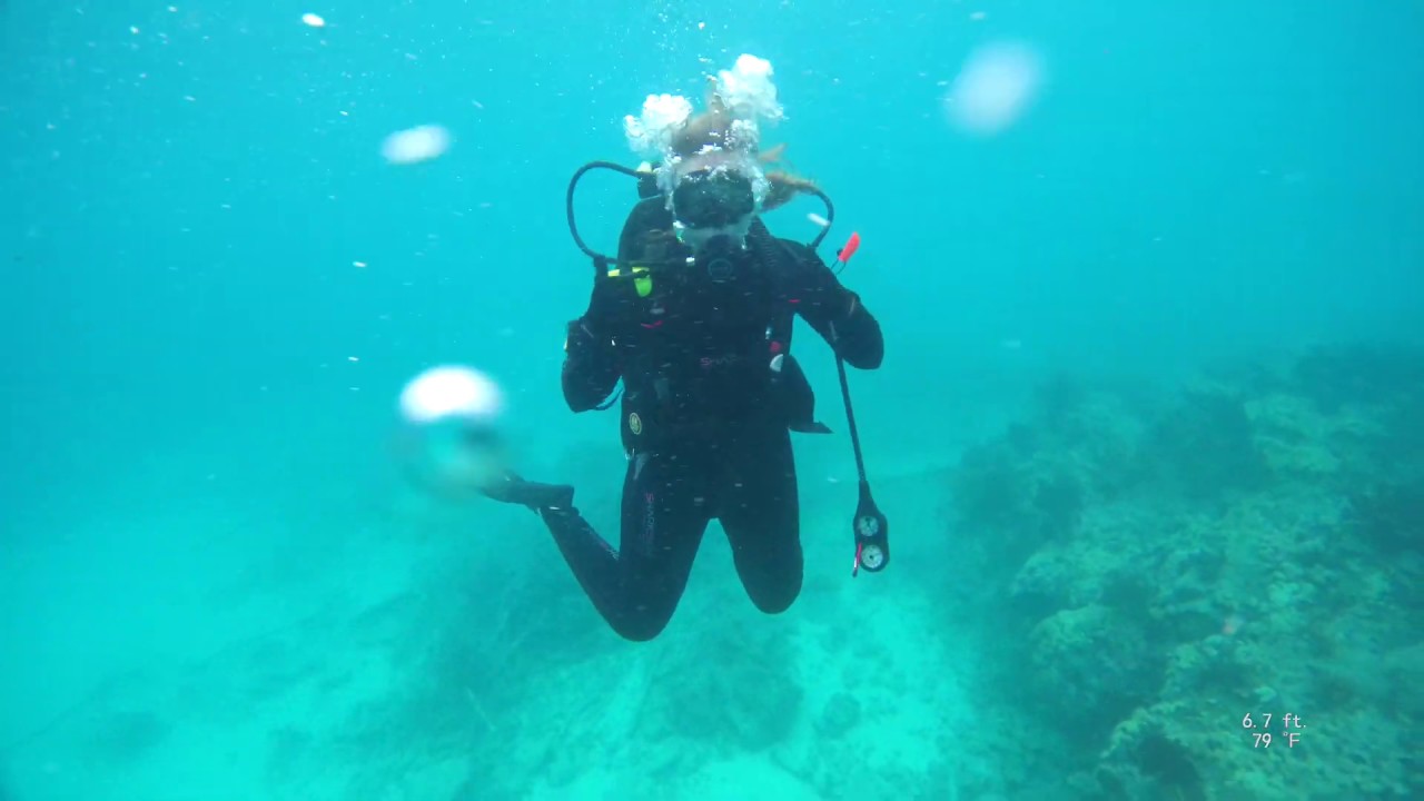 2018 Sombrero Reef Dive 4 - YouTube