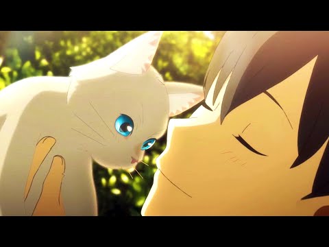 Anime Recap - This Girl Turned Into A Cat To Get Closer To Her Love ...