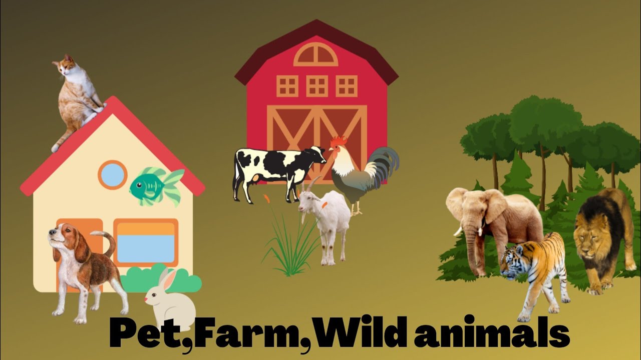 Pet, Farm, Wild animals/Types of animals/animals with names and sounds ...