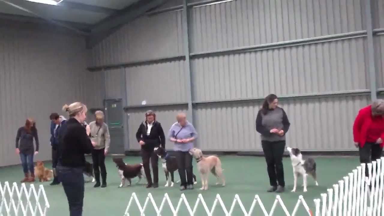 DA ring Team entry - YouTube