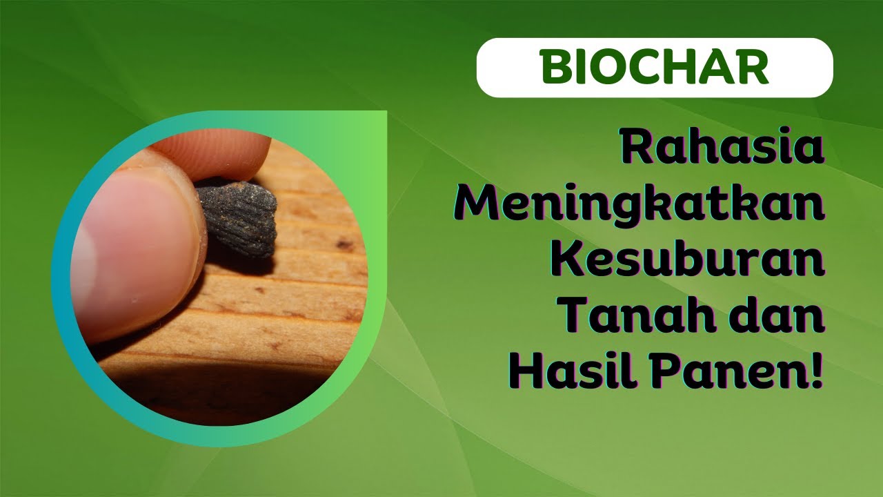 Biochar: Rahasia Meningkatkan Kesuburan Tanah dan Hasil Panen! - YouTube