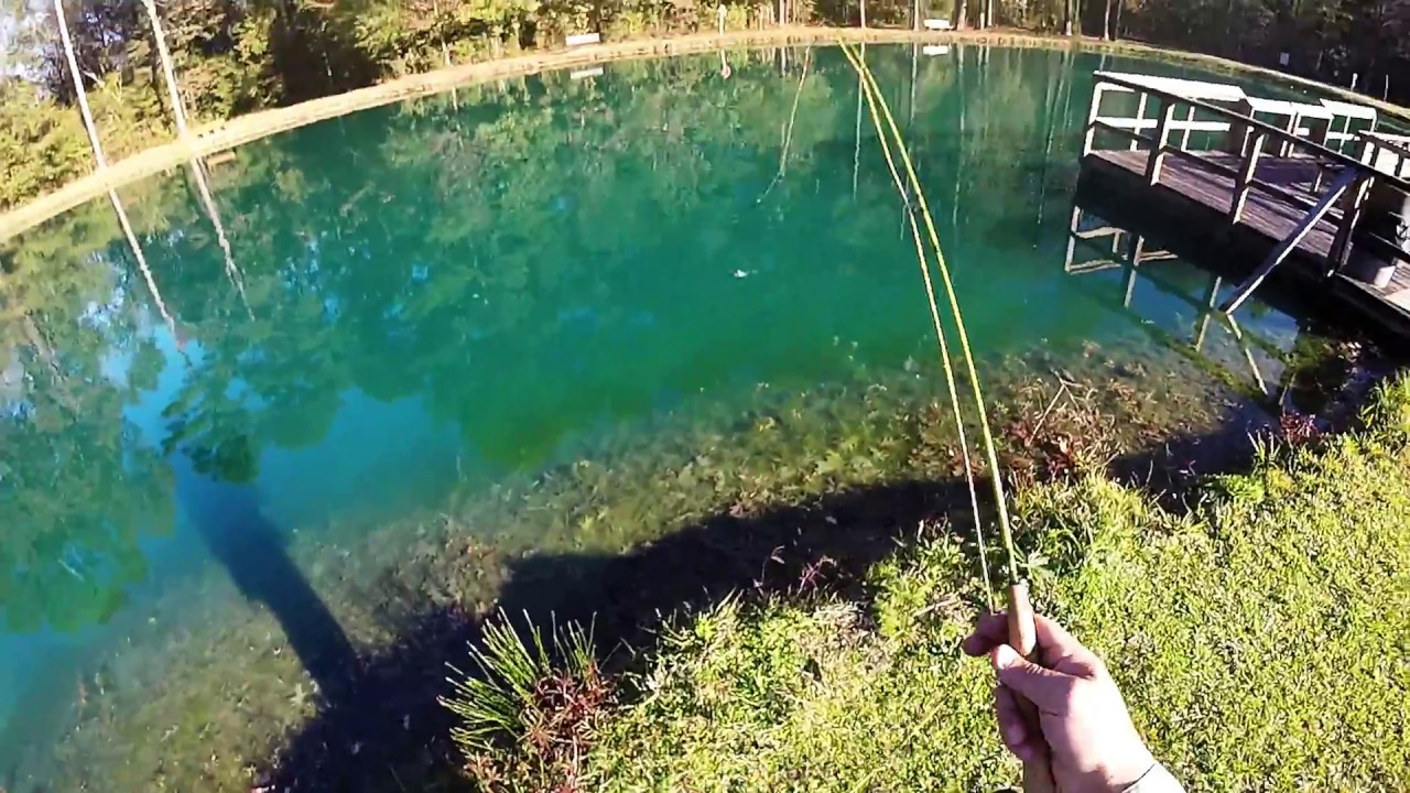 Fly Fishing Waddill Refuge pond Baton Rouge Louisiana - YouTube