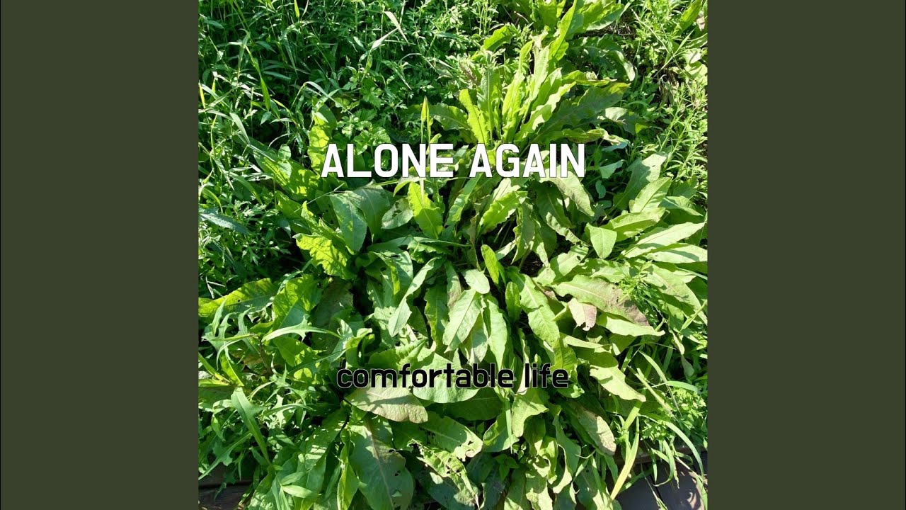 ALONE AGAIN - YouTube