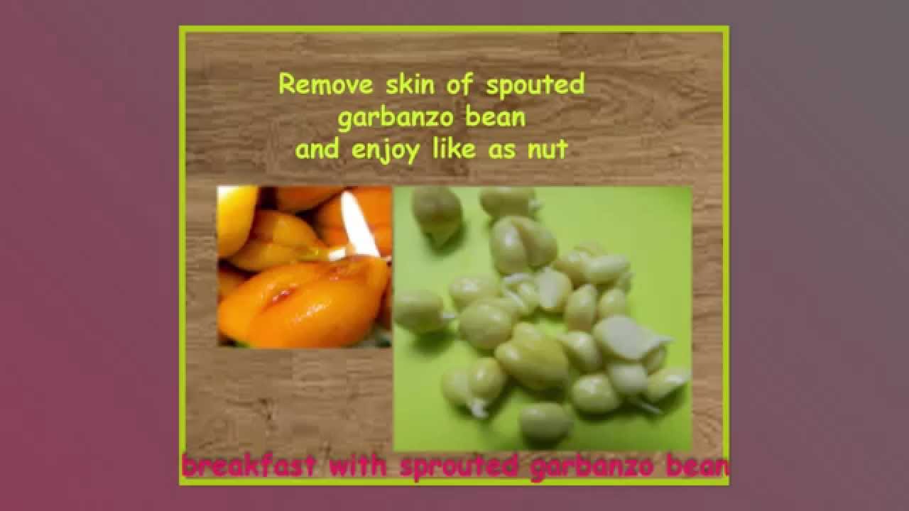 ☺How to sprout garbanzo bean?☺ - YouTube
