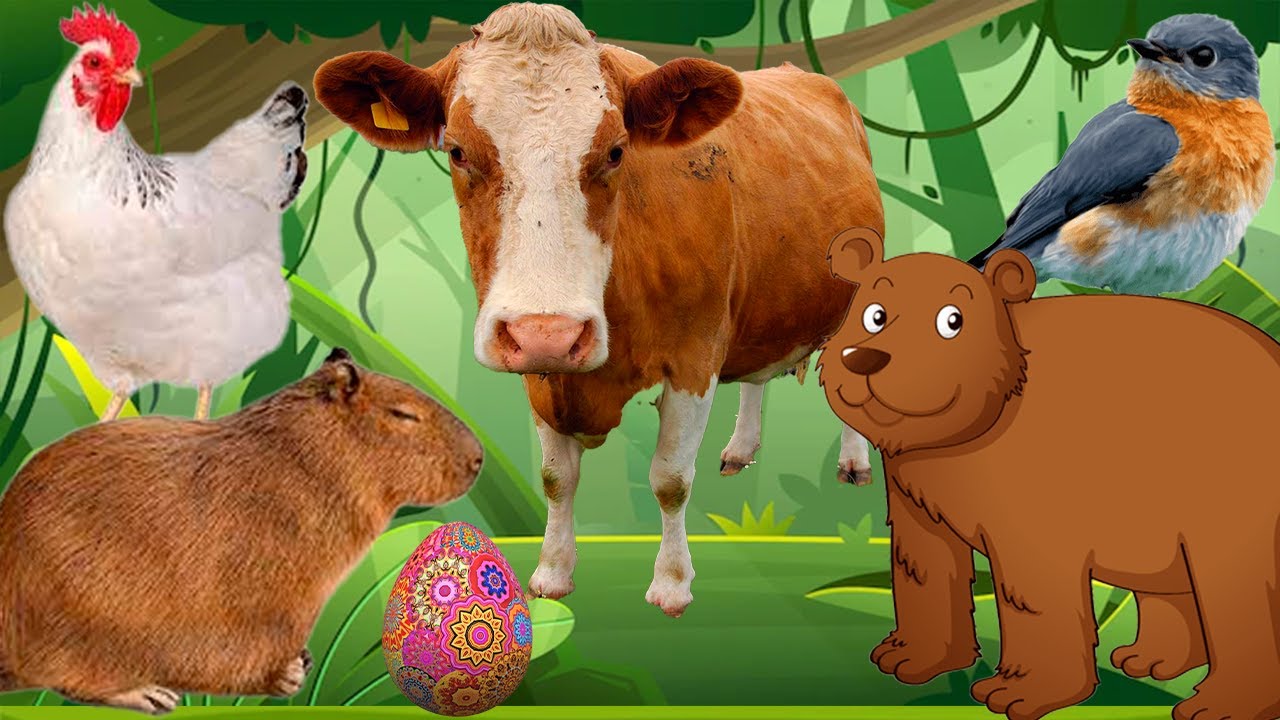 Lovely animals, pets to explore nature: elephants, giraffes, dogs, owls ...