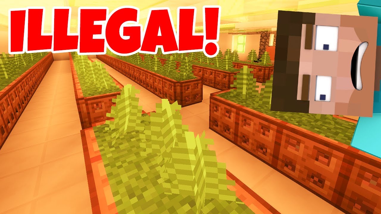 DROGEN LAGER in MINECRAFT gefunden! - YouTube