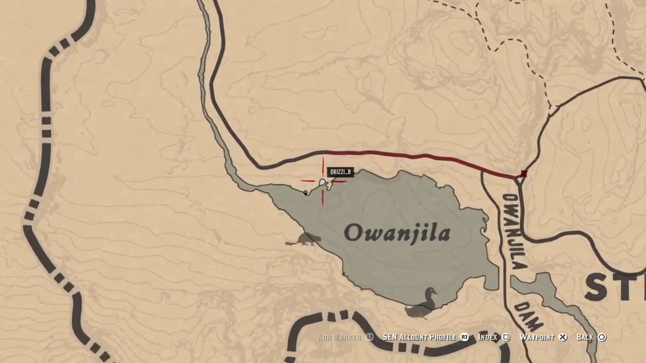 RDR Online Beaver Locations - YouTube