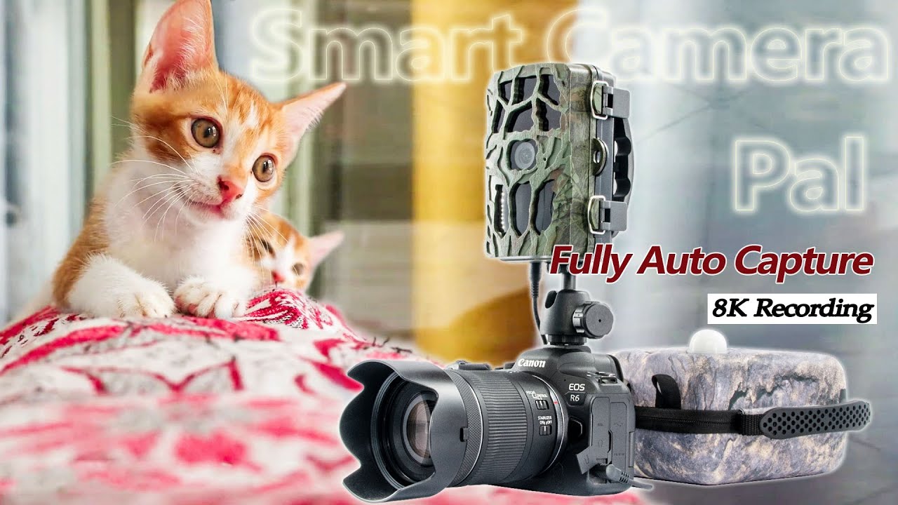 Smart Camera Pal - Create a fully automatic family pet photography ...