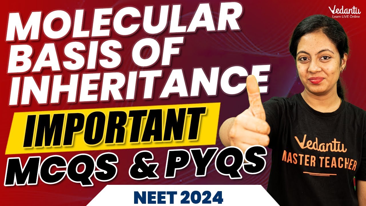 Molecular Basis of inheritance - Important MCQs & PYQs | NEET 2024 ...