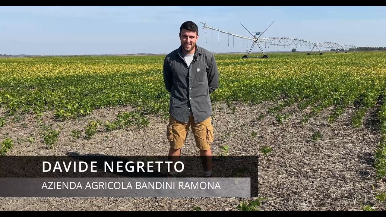 "COSA CI INSEGNA L'ESPERIENZA DI DAVIDE NEGRETTO?" - AgriManager - YouTube