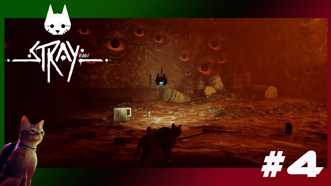THE WALLS HAVE EYES!!!(STRAY) - YouTube