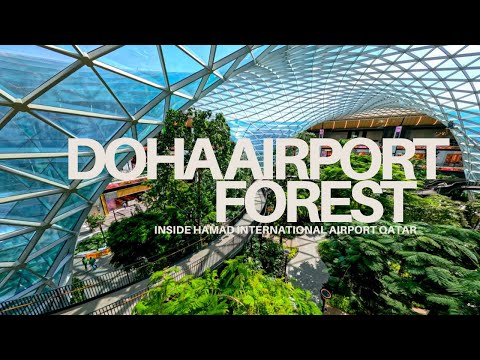 Doha Airport Forest 🌿 | Inside Hamad International Airport Qatar | The Orchard Full Tour