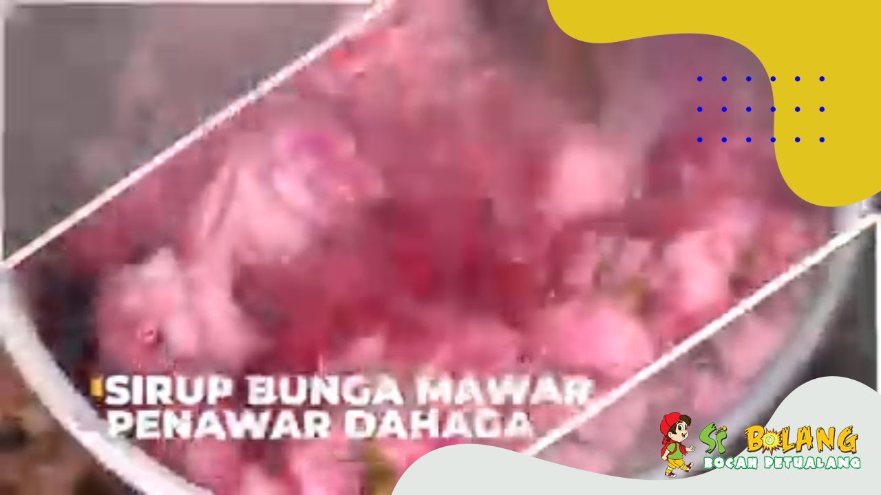 Sirup Bunga Mawar Penawar Dahaga | SI BOLANG (23/09/22) - YouTube