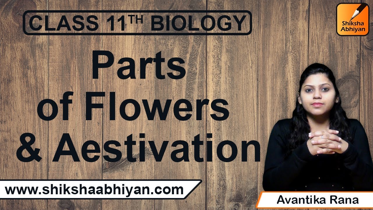 Parts of Flowers & Aestivation-#CBSE Class 11 Biology - YouTube