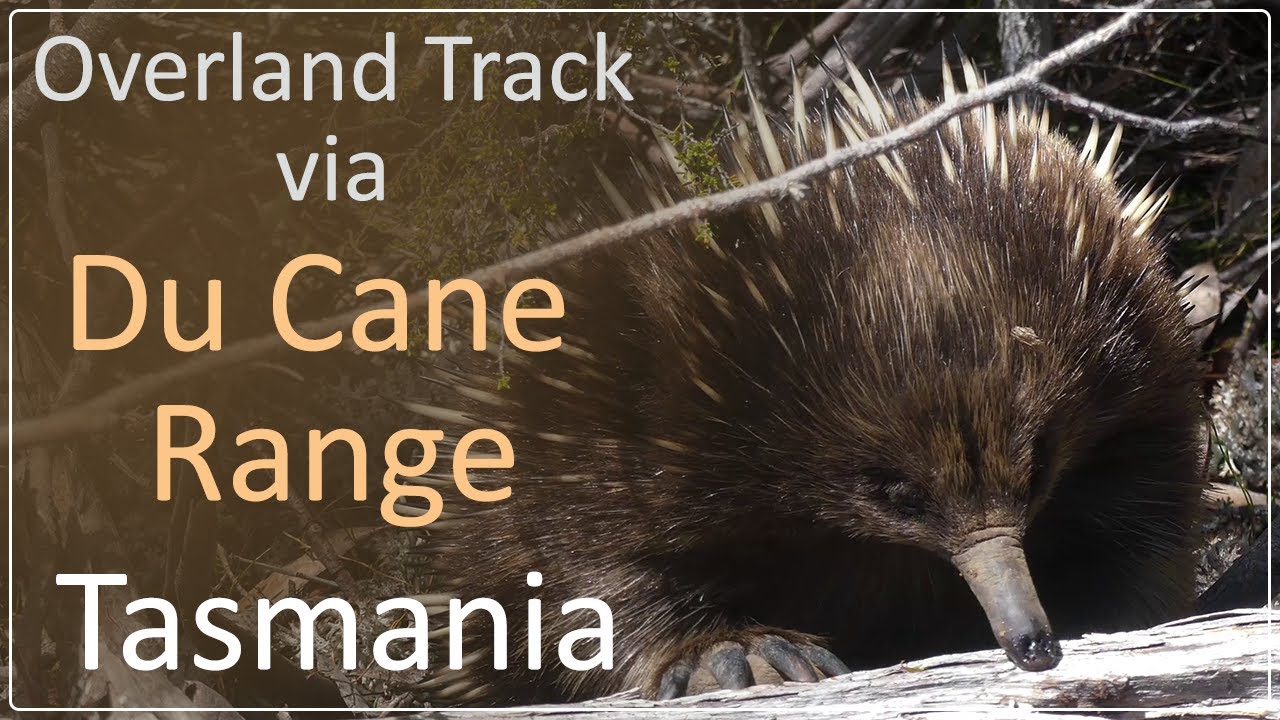 Hiking the Overland Track via Du Cane Range, Tasmania - YouTube