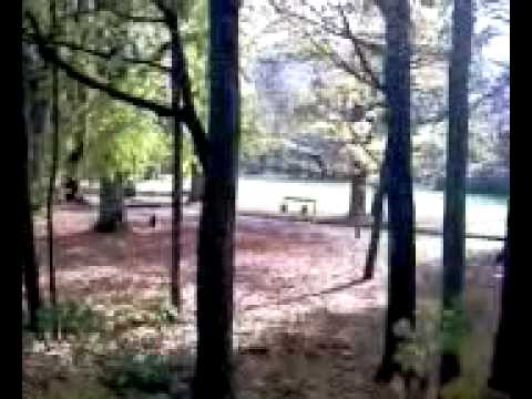 Mertert Parc - YouTube