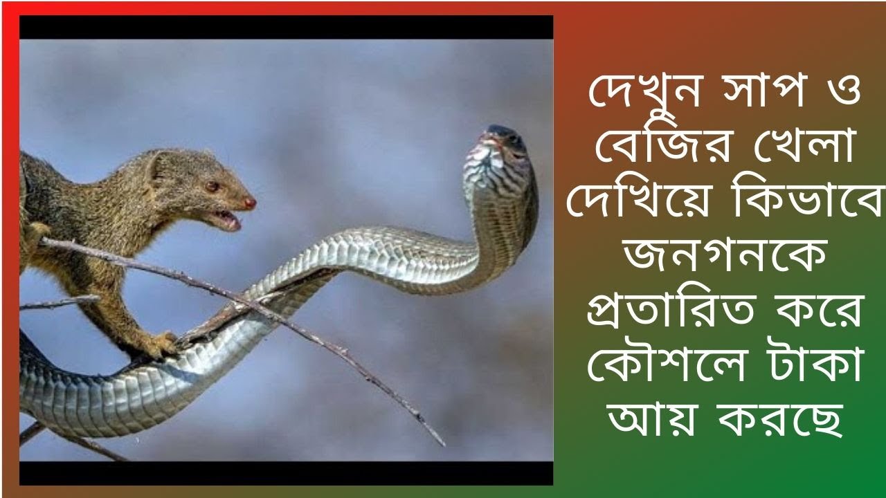 See how the Hawker is collecting money from the public by playing Snake ...