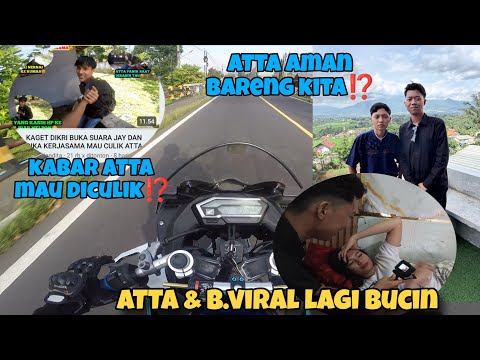 ATTA MAU DICULIK⁉️BANG VIRAL HARUS TAU 