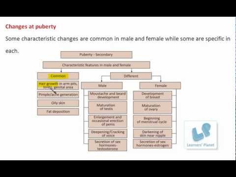 Changes at the Age of Puberty-Age of adolescence grade 8 cbse science ...