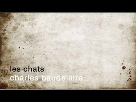 La minute de poésie : Les chats [Charles Baudelaire] - YouTube