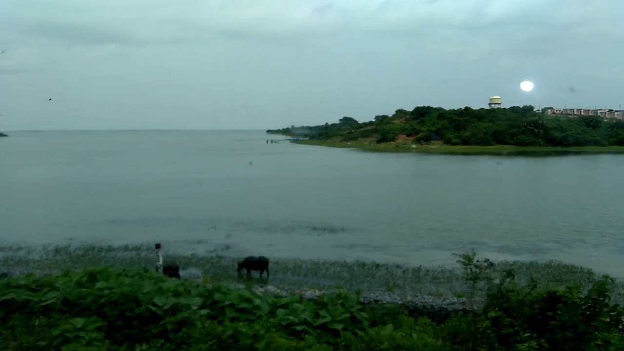 Amazing view of chilika lake orissa - YouTube