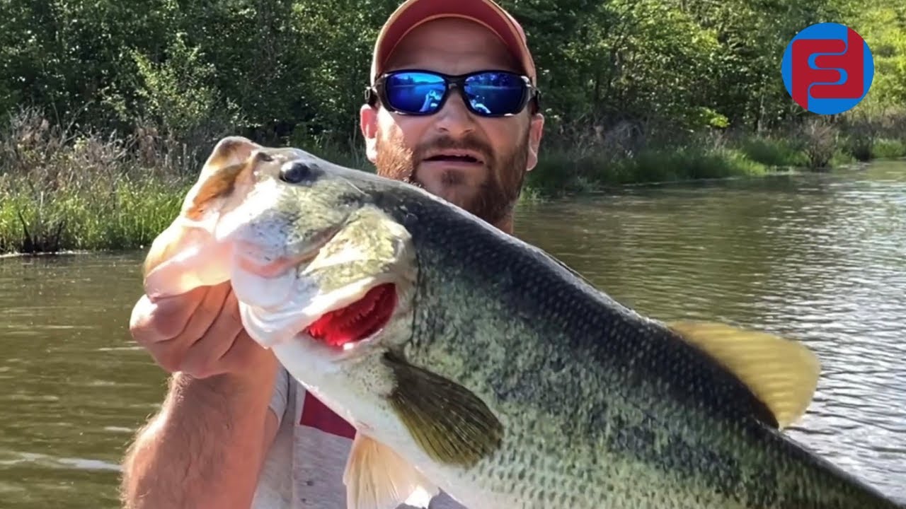 Giant Bass on a Spinning Rod - YouTube