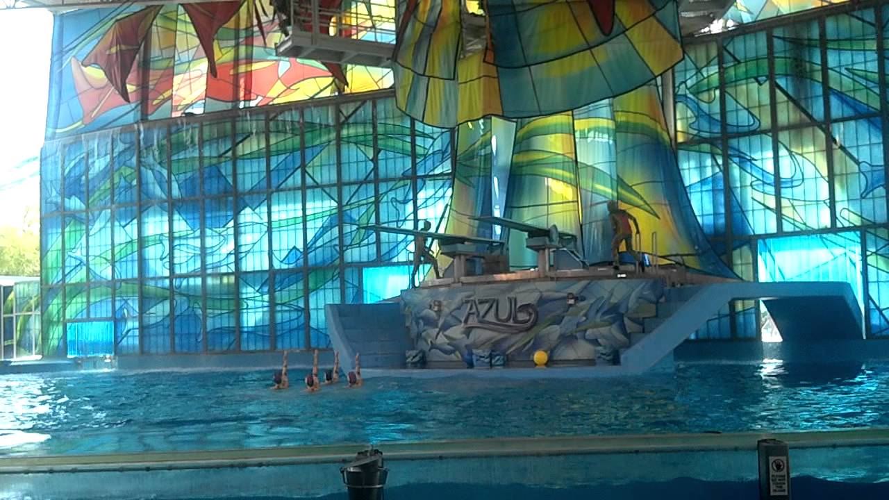 Azul - Sea World San Antonio - YouTube