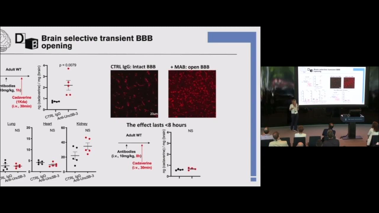 Emerging Yale Biotech Anne Eichmann D2B3 - YouTube