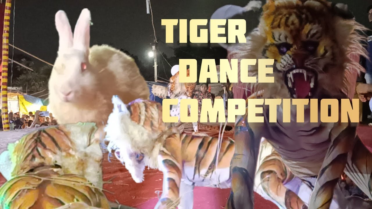 Tiger Dance competition (8 Tiger Dance complete Watch) Special Special ...