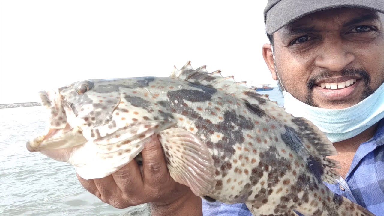 Hamour fishing,(കറൂപ് ) - YouTube