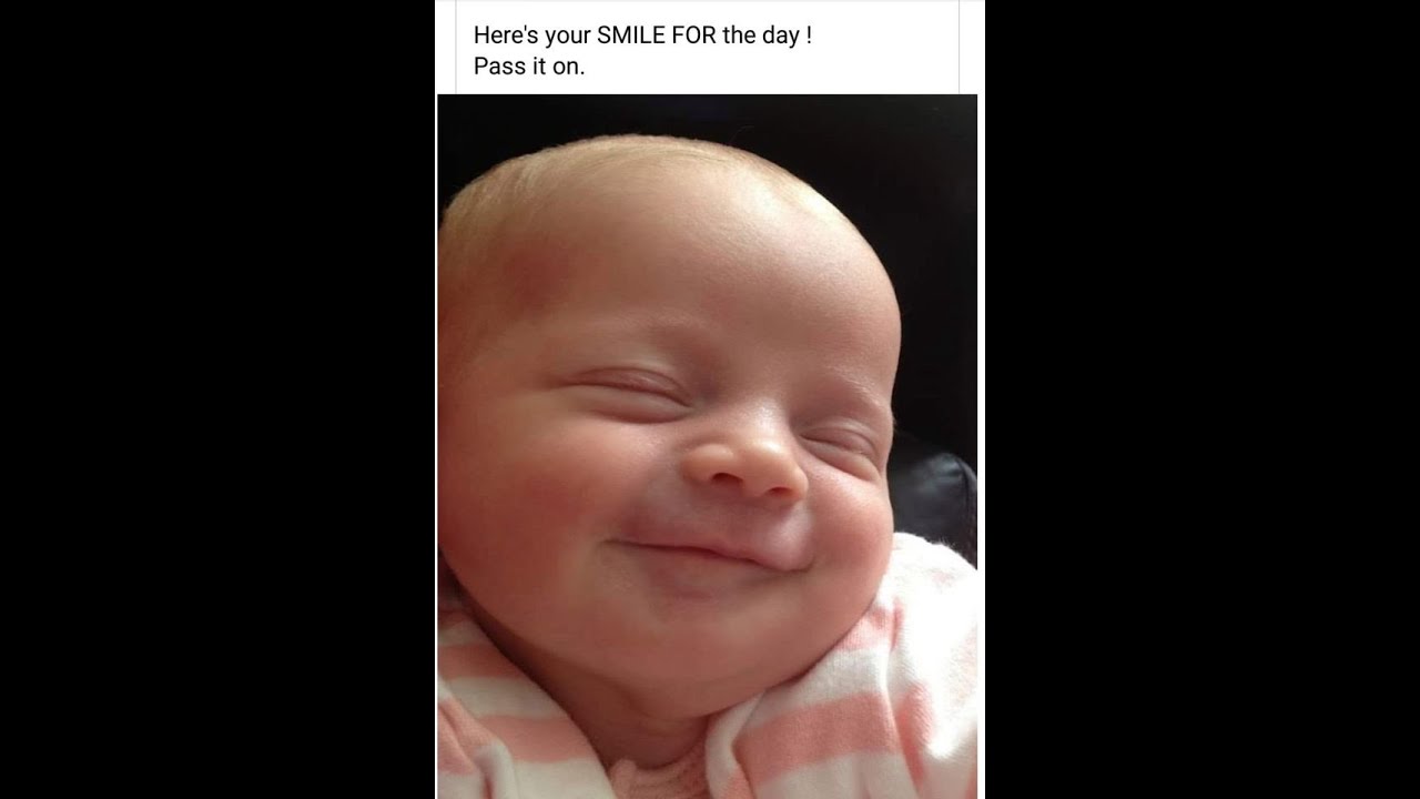 Facebook Memes Of The Week 45: Week Of August 30, 2020 (90220A) - YouTube