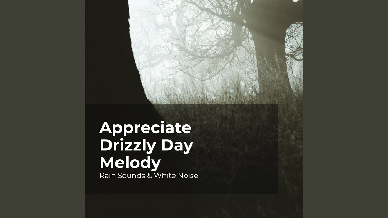 Vehement Wind Tune - YouTube