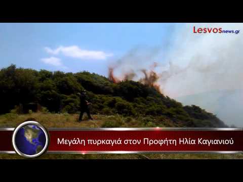 ΑΠΟΓΕΥΜΑΤΙΝΗ ΦΡΟΥΡΑ: ΤΩΡΑ – Σε εξελιξη μεγαλη πυρκαγια στον Προφητη ...